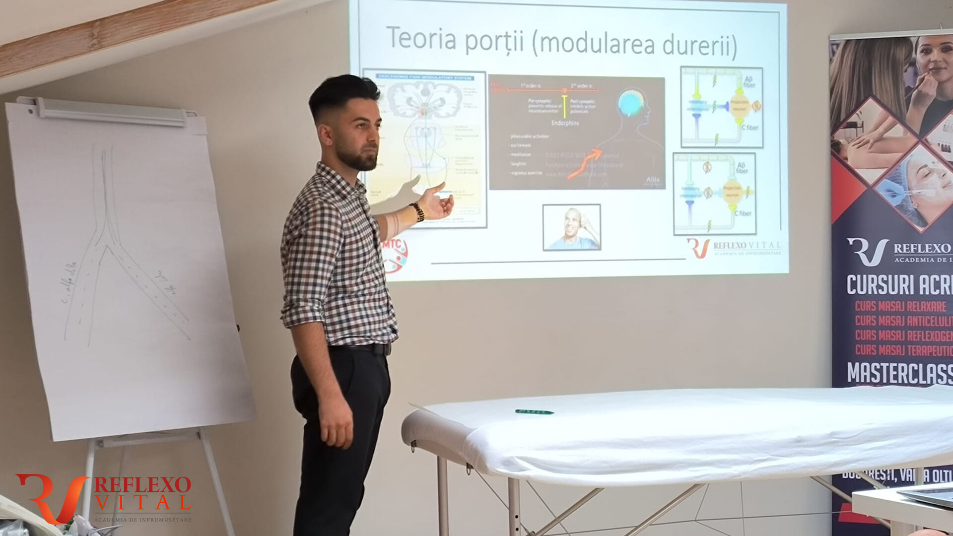 Curs Specializare Terapia Durerii în Masaj - Reflexovital